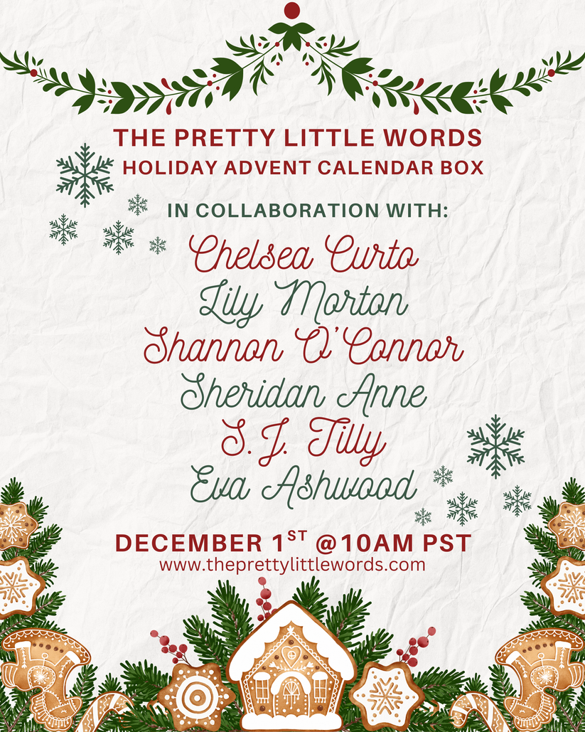 2025 Naughty List Holiday Book Box – The Pretty Little Words